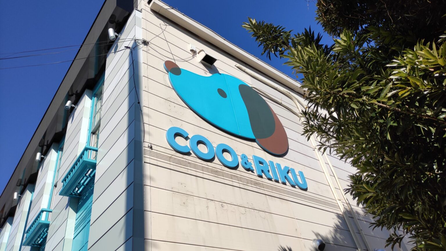 古淵の「COO&RIKU」相模原店さん。昨年末にリニューアルOPENされたようです。 - さがみはらあたり。