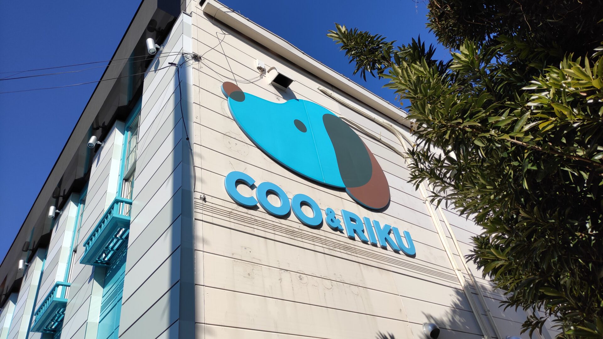 古淵の「COO&RIKU」相模原店さん。昨年末にリニューアルOPENされたようです。 - さがみはらあたり。